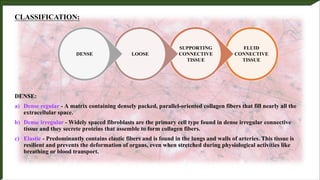 CONNECTIVE TISSUE (ANATOMY AND PHYSIOLOGY).pdf