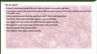 CONNECTIVE TISSUE (ANATOMY AND PHYSIOLOGY).pdf