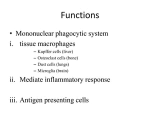 CONNECTIVE TISSUE Of the blood tissues.pptx