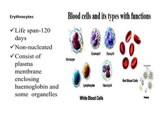 CONNECTIVE TISSUE Of the blood tissues.pptx