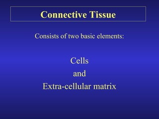 connective tissue in living organisms with detail.ppt