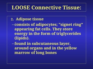 connective tissue in living organisms with detail.ppt