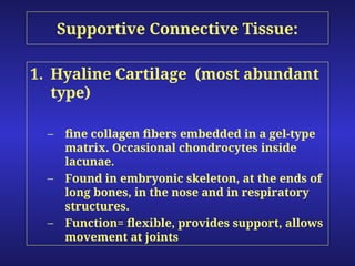 connective tissue in living organisms with detail.ppt