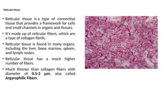 Human anatomy and physiology 1 unit 1 Connective Tissue.pptx