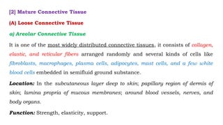 CONNECTIVE TISSUE (Classification, Structure, Location and Functions).pptx