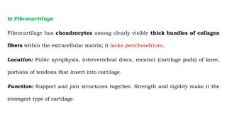 CONNECTIVE TISSUE (Classification, Structure, Location and Functions).pptx
