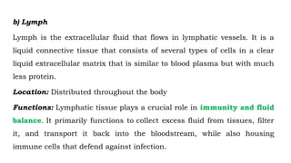 CONNECTIVE TISSUE (Classification, Structure, Location and Functions).pptx