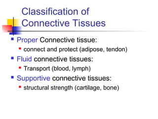 Introduction to connective tissue and it's type | PPT