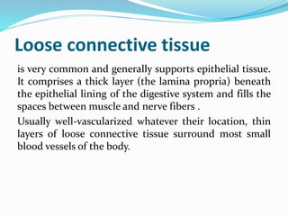 Connective tissue blood+cartilage | PPTX