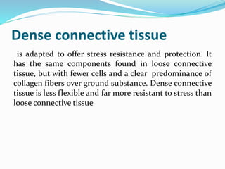 Connective tissue blood+cartilage | PPTX