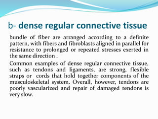 Connective tissue blood+cartilage | PPTX