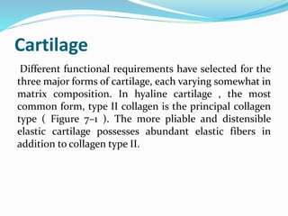 Connective tissue blood+cartilage | PPTX
