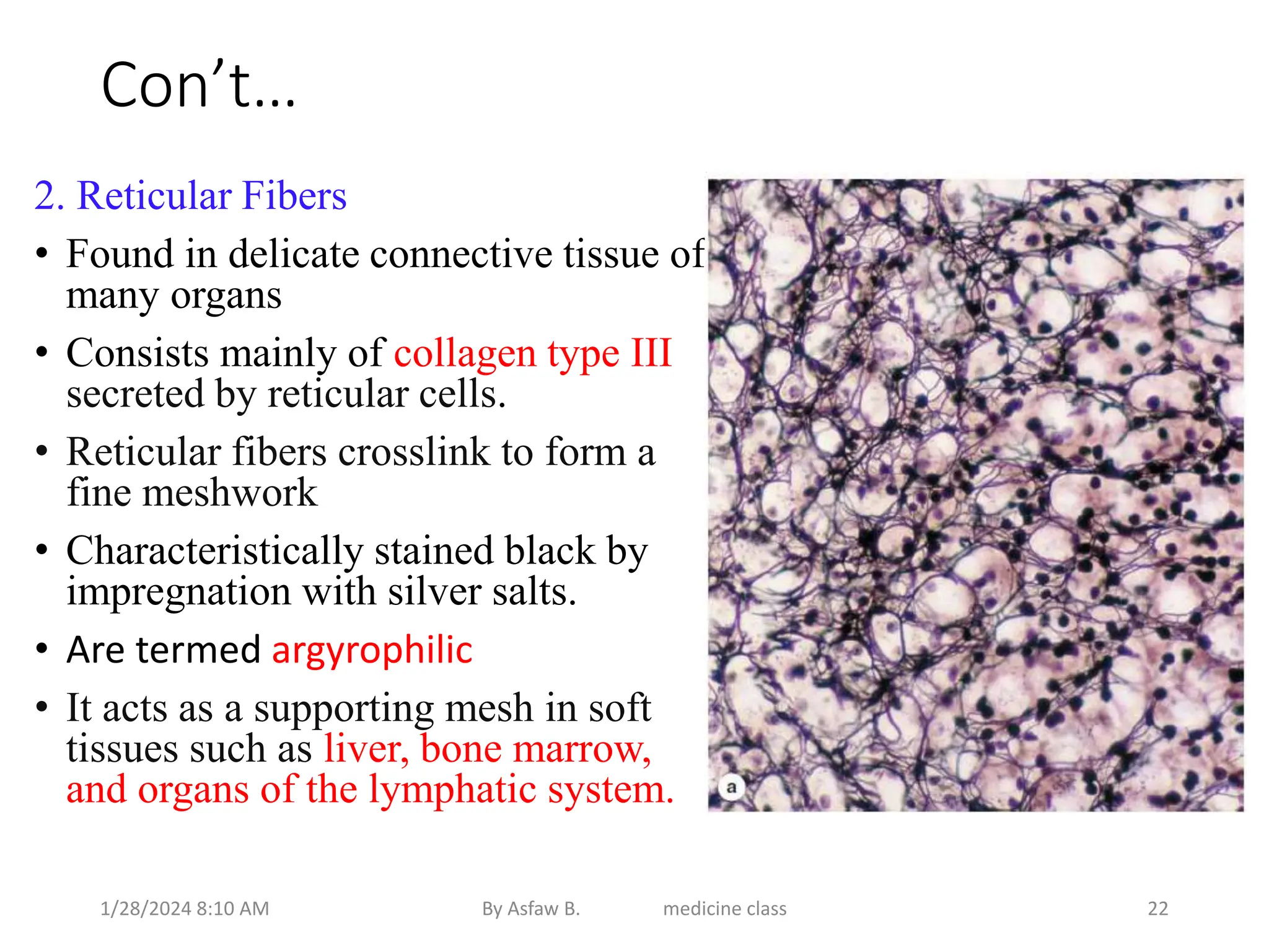 general concept about Connective tissue | PPTX