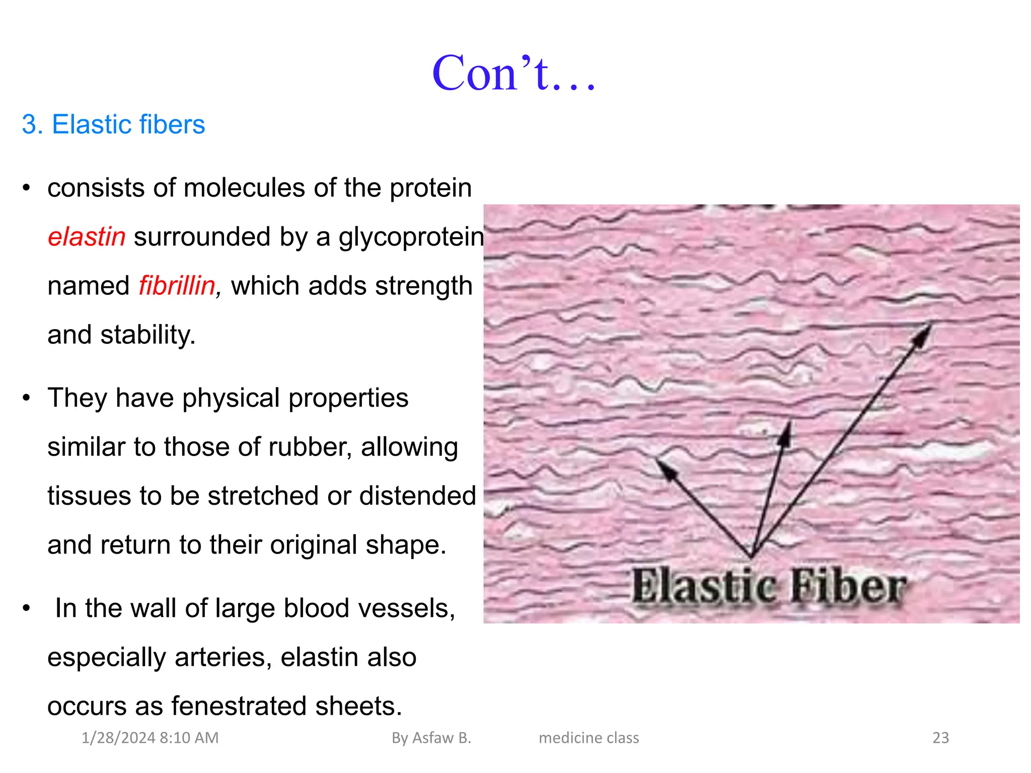 general concept about Connective tissue | PPTX