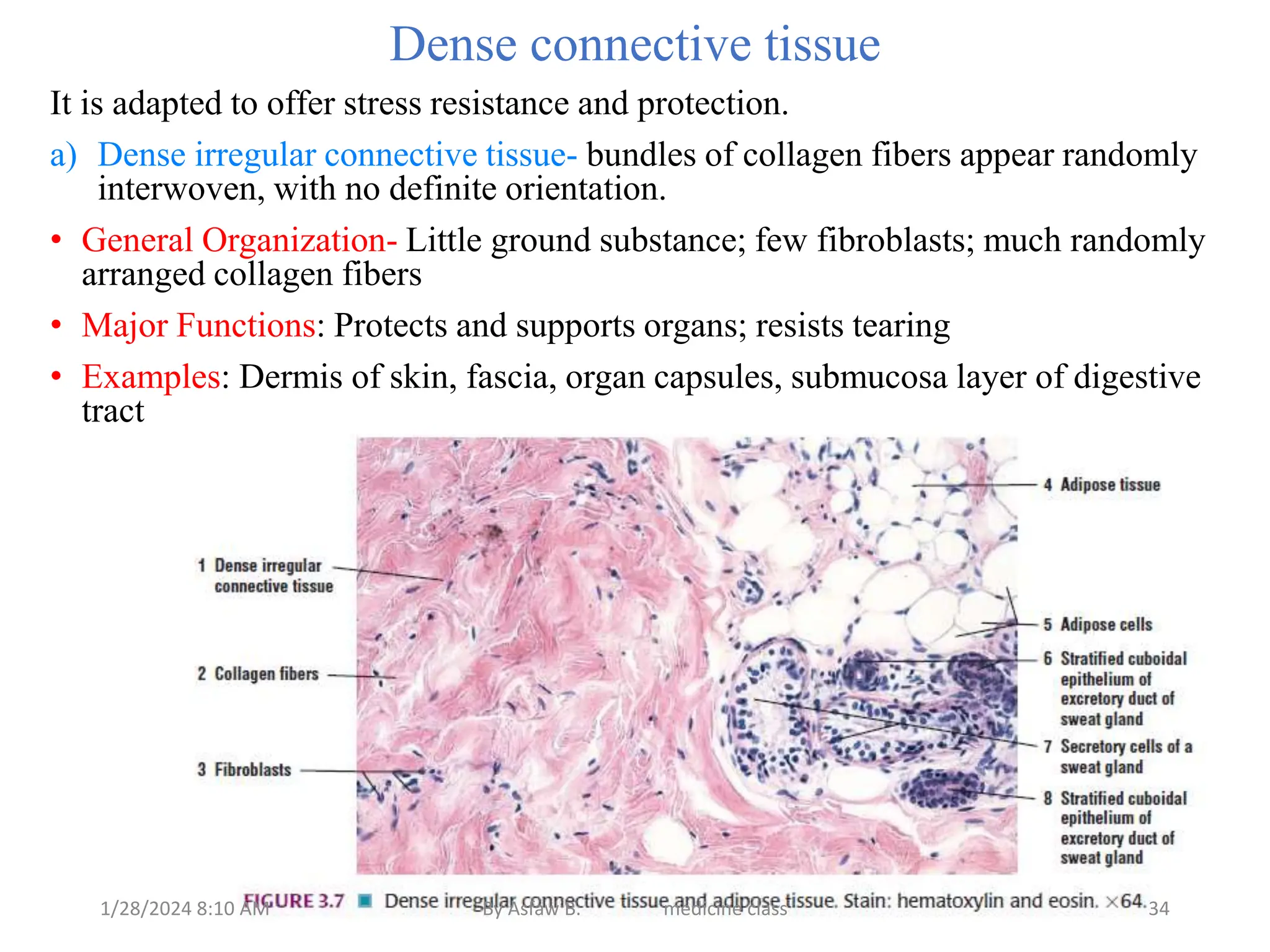 general concept about Connective tissue | PPT