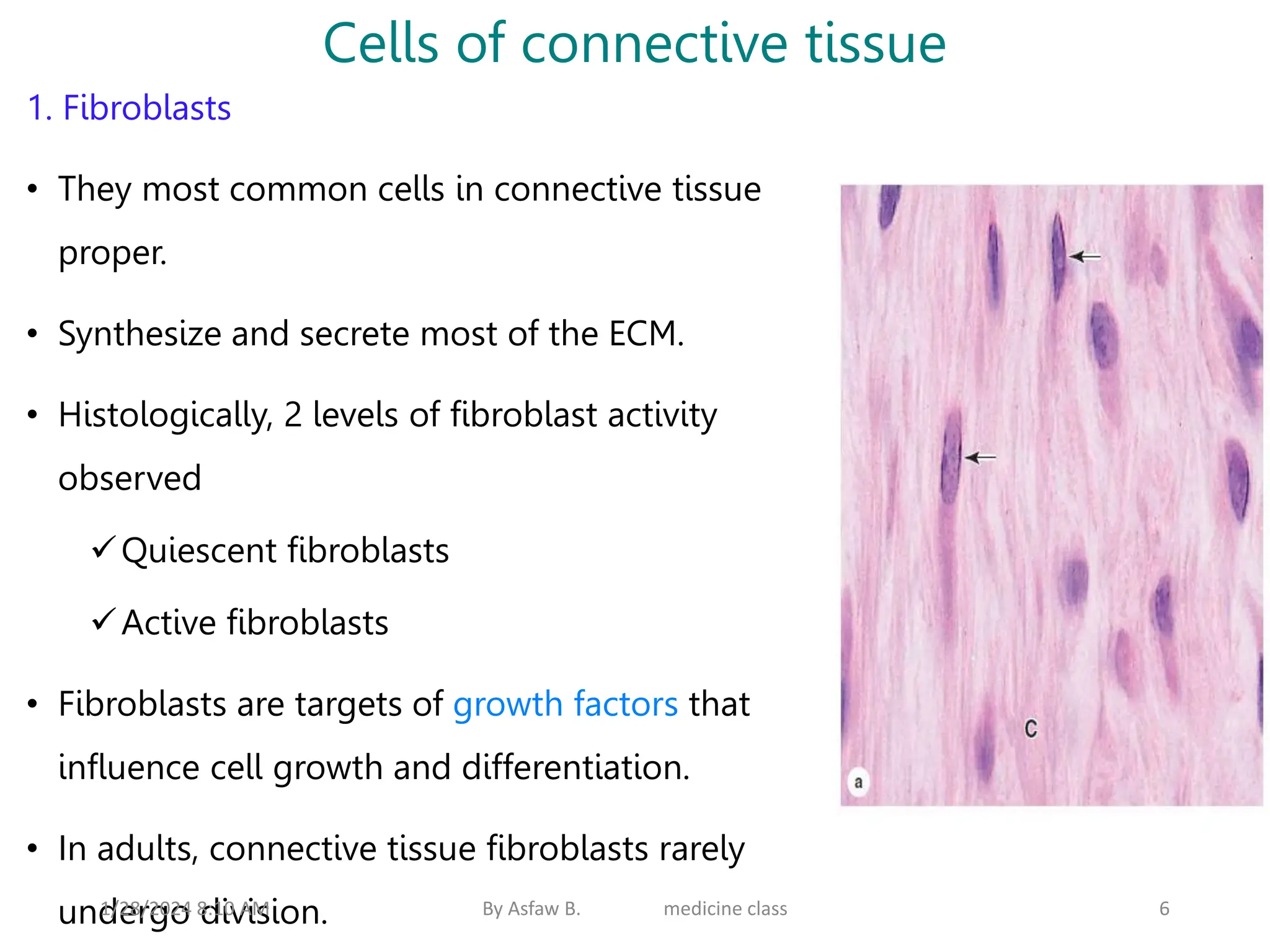 general concept about Connective tissue | PPT