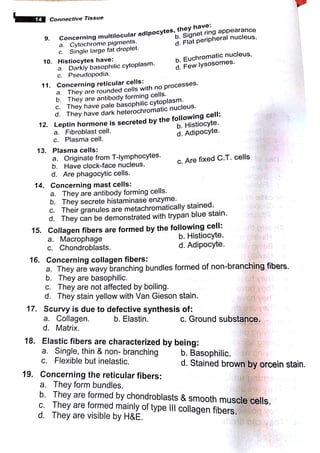 Connective Tissue - Kasr Einy.pdfConnective Tissue - Kasr Einy.pdf