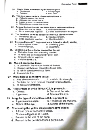 Connective Tissue - Kasr Einy.pdfConnective Tissue - Kasr Einy.pdf