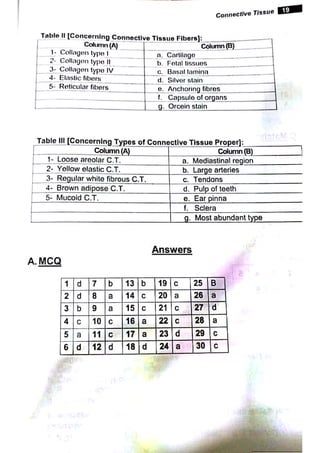 Connective Tissue - Kasr Einy.pdfConnective Tissue - Kasr Einy.pdf