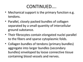 Connective tissue presentation2 | PPT