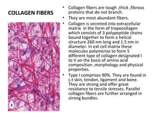 Connective tissue presentation2 | PPT