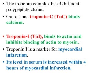 Connective tissue protiens | PDF