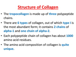 Connective tissue protiens | PDF