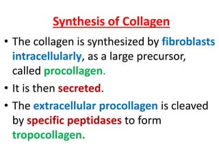 Connective tissue protiens | PDF