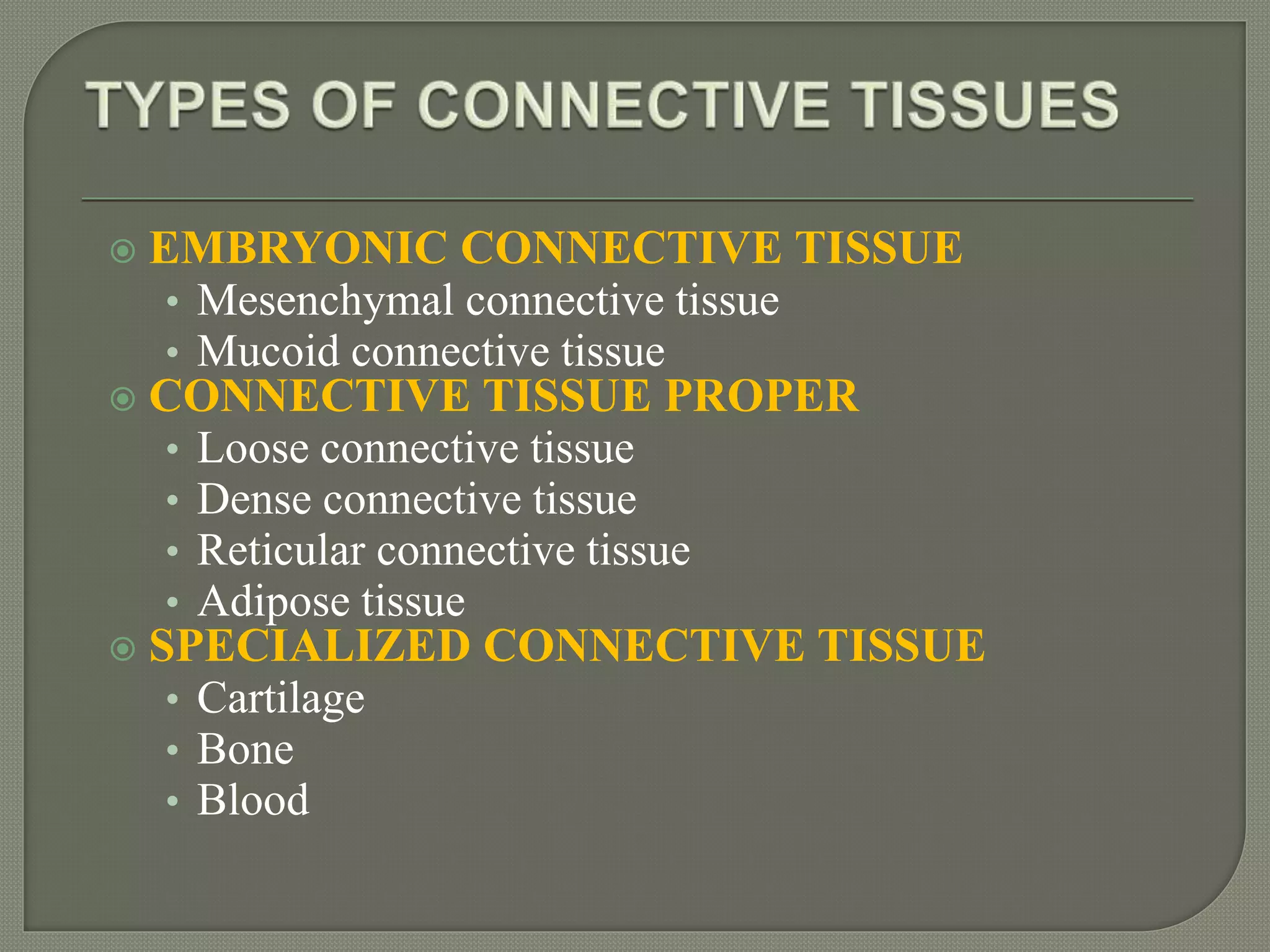 Connective tissue 1 | PPT