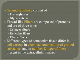 Connective tissue 1 | PPT