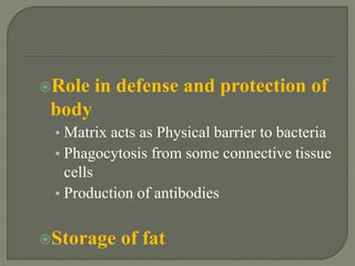 Connective tissue 1 | PPTX