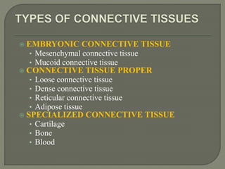 Connective tissue 1 | PPT