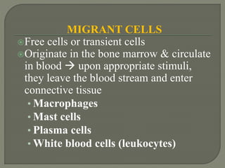Connective tissue 1 | PPTX