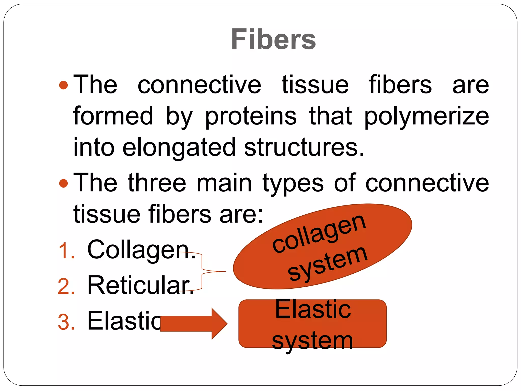 Connective Tissue1 Pptx Blood Disorders Diseases And Conditions