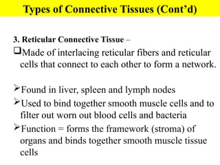 HISTOLOGY OF CONNECTIVE TISSUES: TYPES AND FUNCTION | PPTX