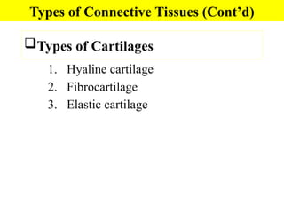 HISTOLOGY OF CONNECTIVE TISSUES: TYPES AND FUNCTION | PPTX