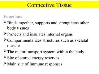 HISTOLOGY OF CONNECTIVE TISSUES: TYPES AND FUNCTION | PPT