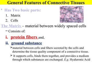 HISTOLOGY OF CONNECTIVE TISSUES: TYPES AND FUNCTION | PPT