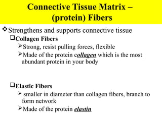 HISTOLOGY OF CONNECTIVE TISSUES: TYPES AND FUNCTION | PPT