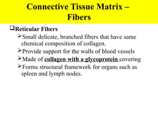HISTOLOGY OF CONNECTIVE TISSUES: TYPES AND FUNCTION | PPT