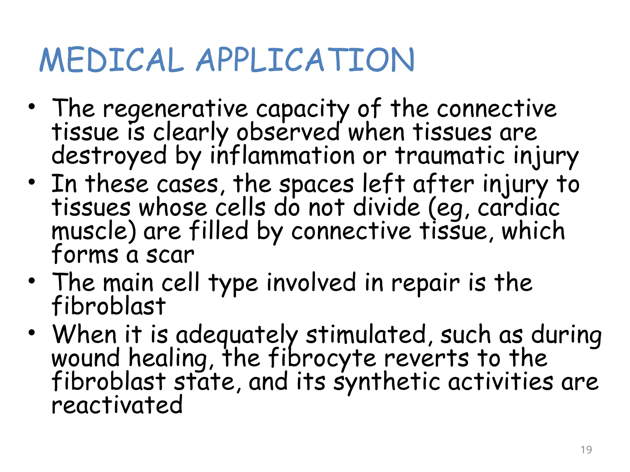 connective tissue africa medical clo(1).pptx