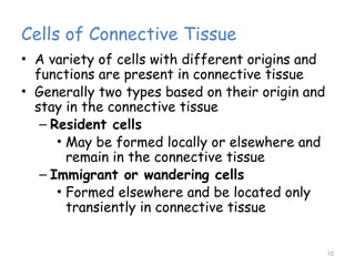 connective tissue africa medical clo(1).pptx