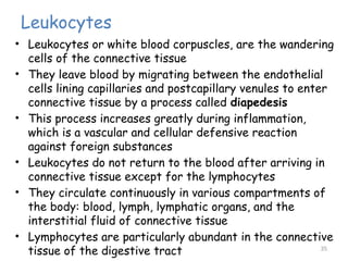connective tissue africa medical clo(1).pptx
