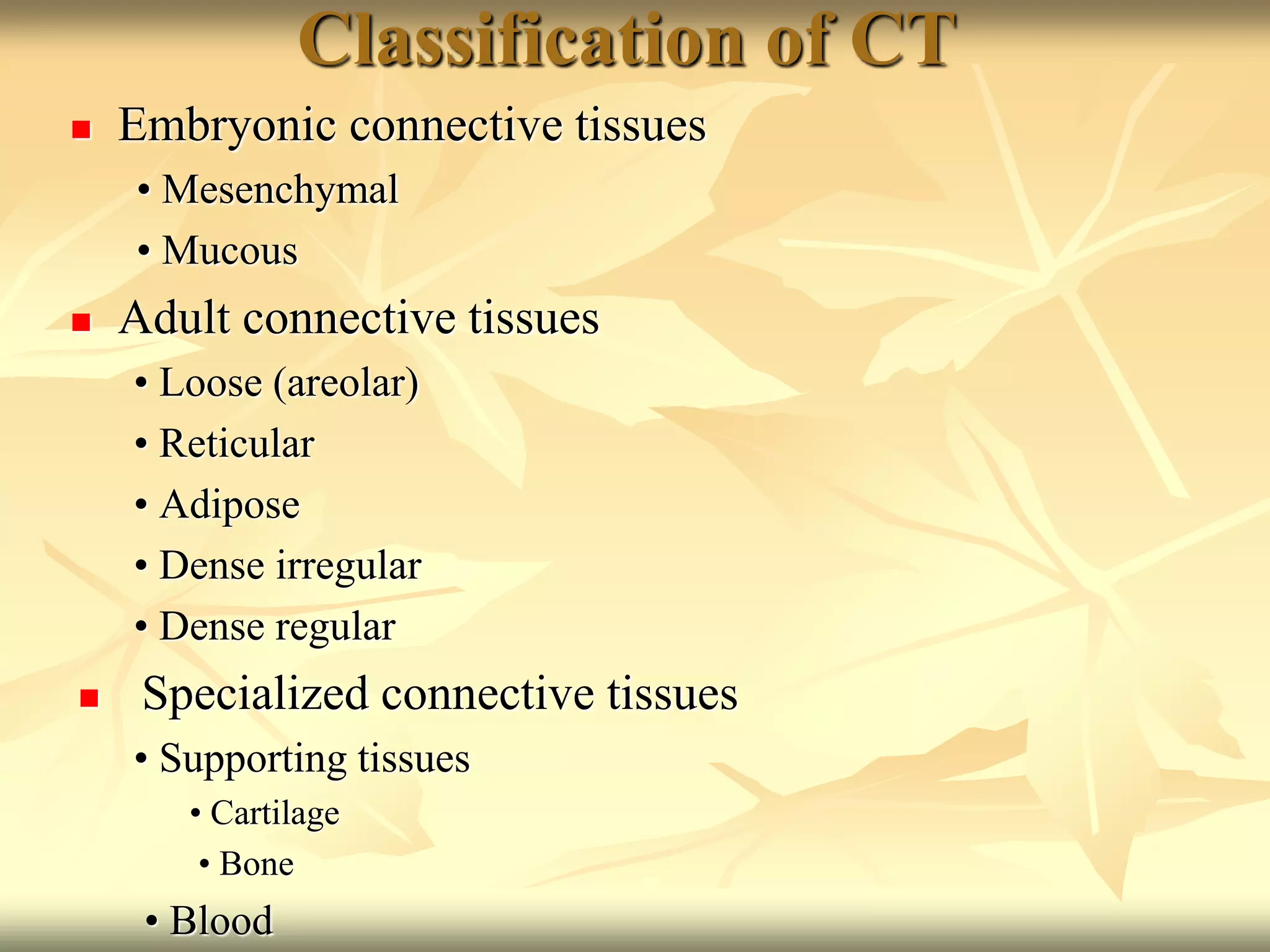 connective tissue 1st 2023.ppt