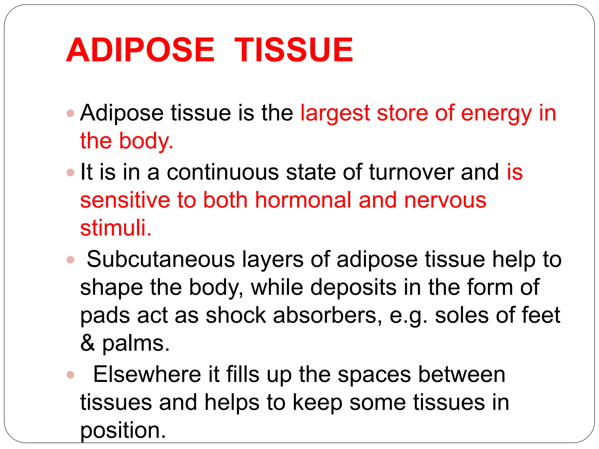 HISTOLOGY OF CONNECTIVE TISSUE IN ANATOMY | PPTX