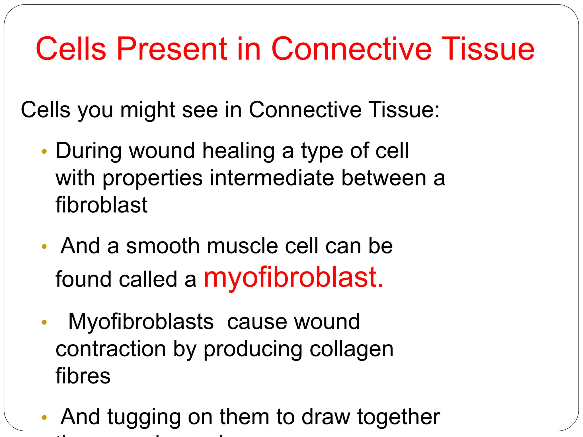 HISTOLOGY OF CONNECTIVE TISSUE IN ANATOMY | PPTX