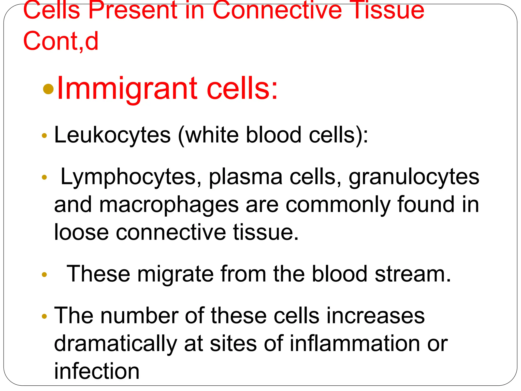 HISTOLOGY OF CONNECTIVE TISSUE IN ANATOMY | PPTX
