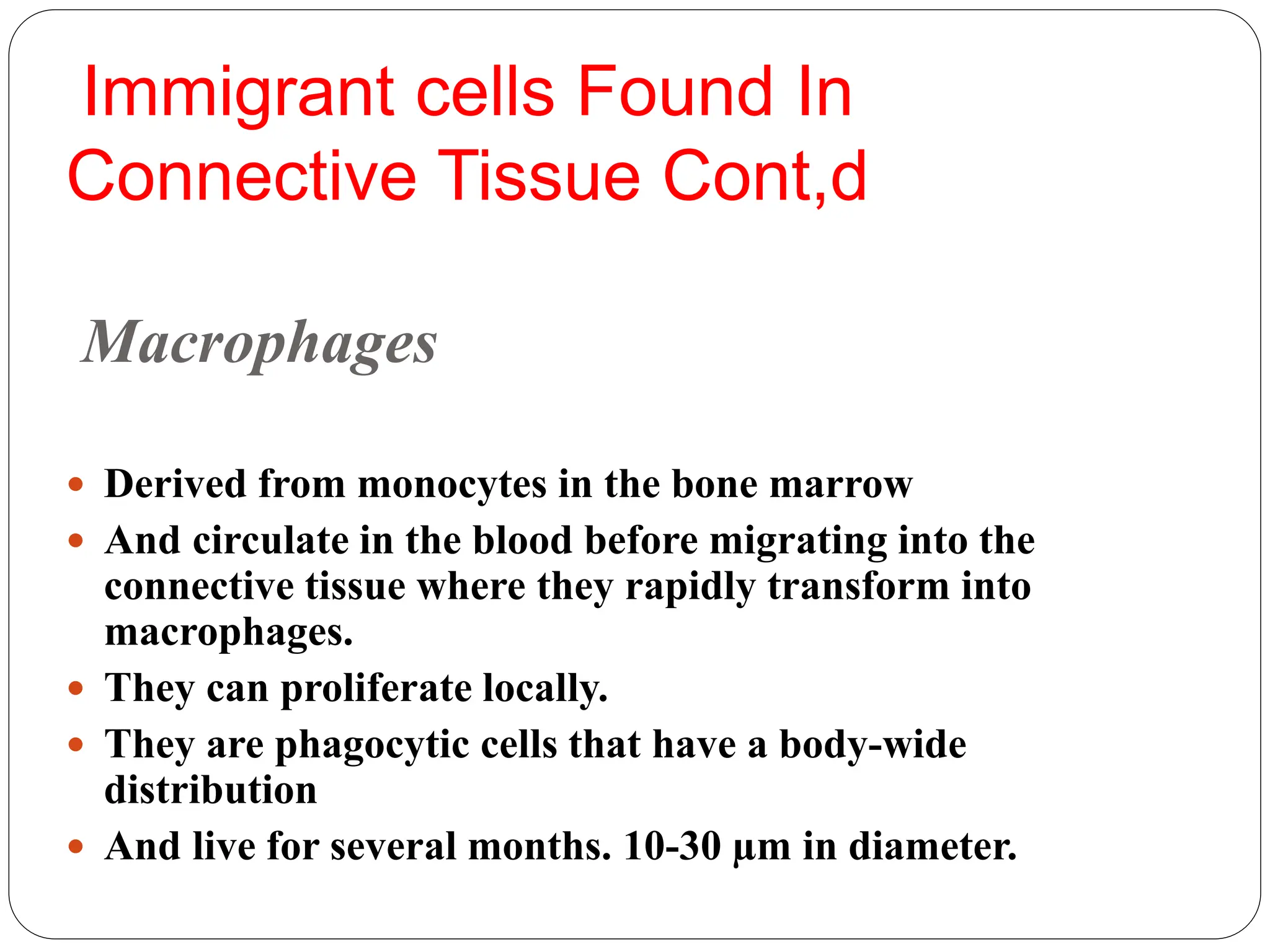 HISTOLOGY OF CONNECTIVE TISSUE IN ANATOMY | PPTX