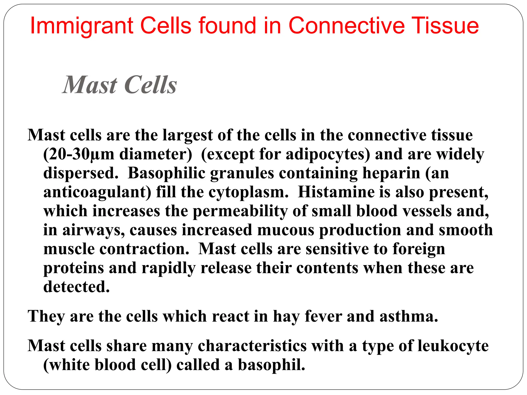HISTOLOGY OF CONNECTIVE TISSUE IN ANATOMY | PPTX