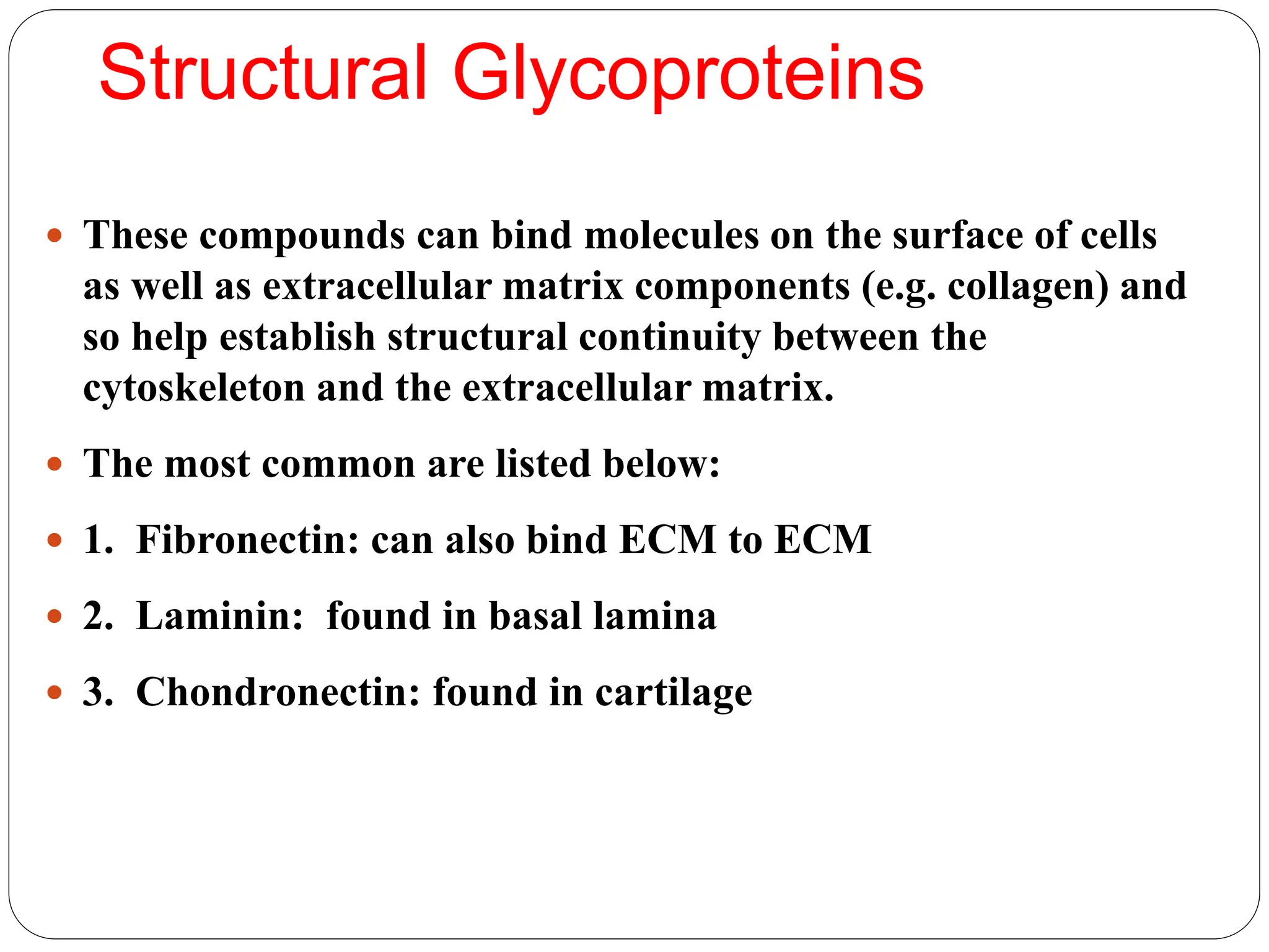 HISTOLOGY OF CONNECTIVE TISSUE IN ANATOMY | PPTX
